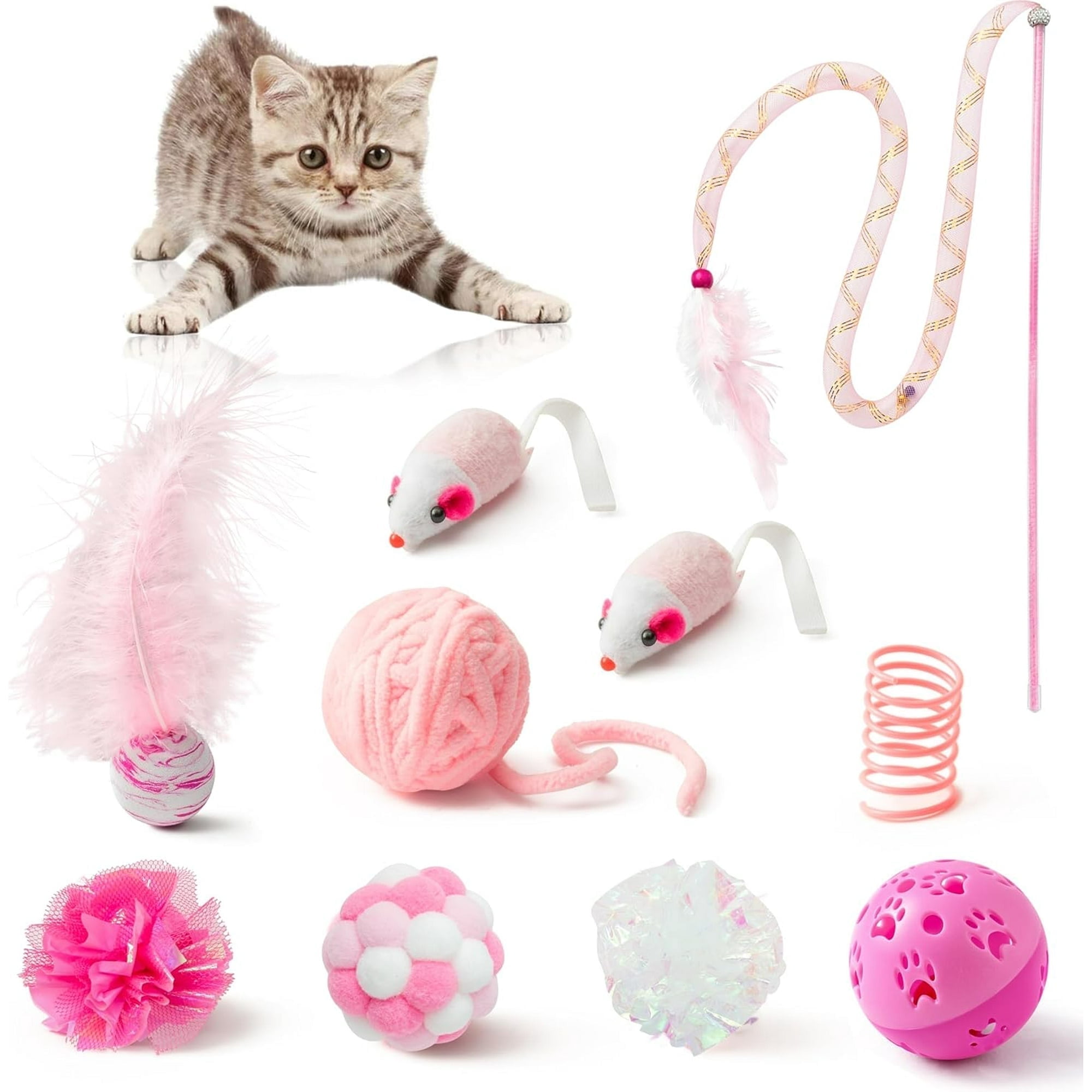 10 Pcs Cat Toy Set, Interactive Kitten Toys for Indoor, Teaser Wand ...