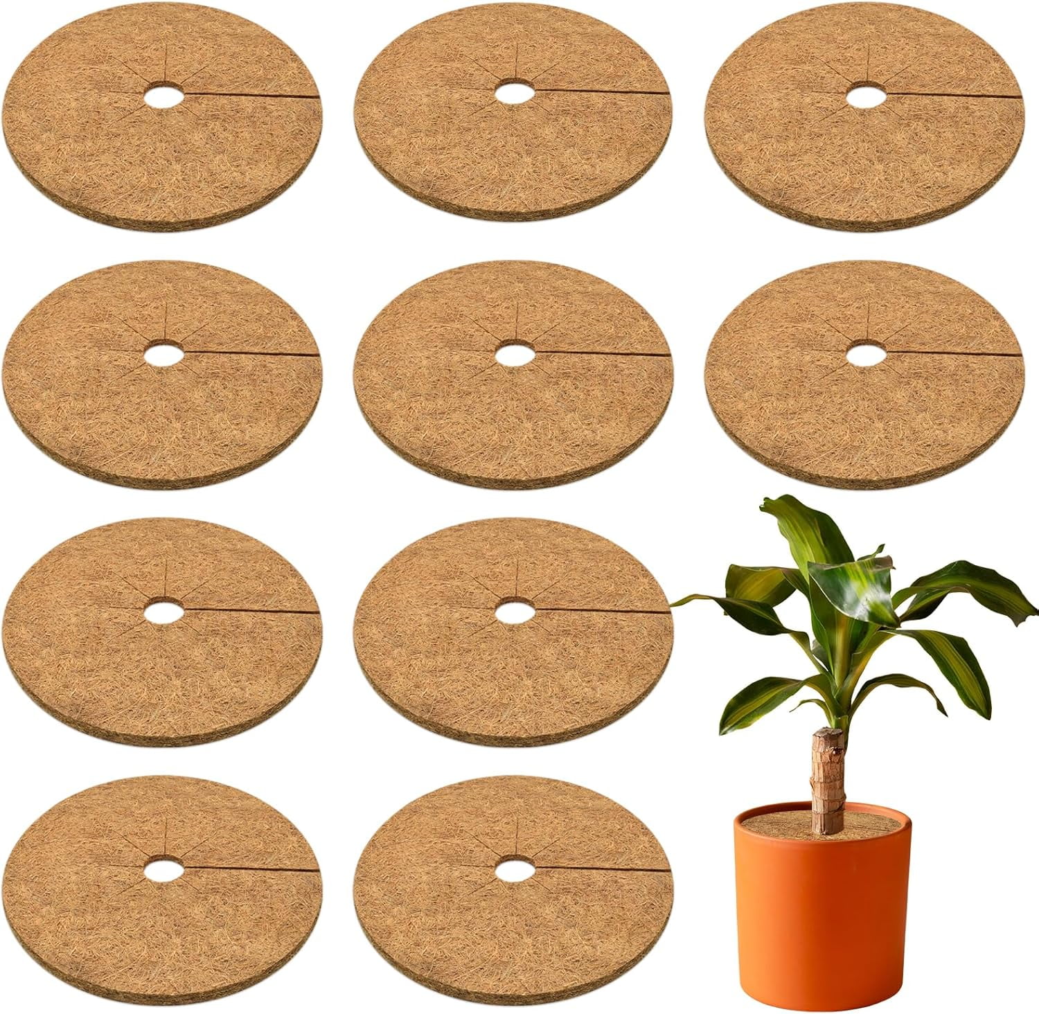 10 Pcs Coconut Fiber Mulch Ring, 9 Inch Coco Coir Tree Ring Mulch Mat ...