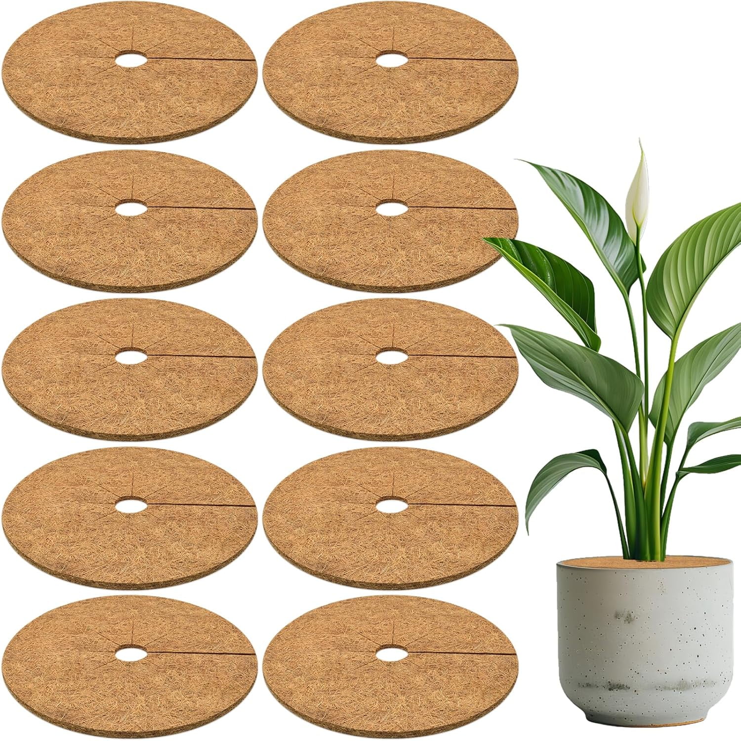 10 Pcs Coconut Fibers Mulch Ring Tree Protector Mat, 14 Inch Coco Coir ...