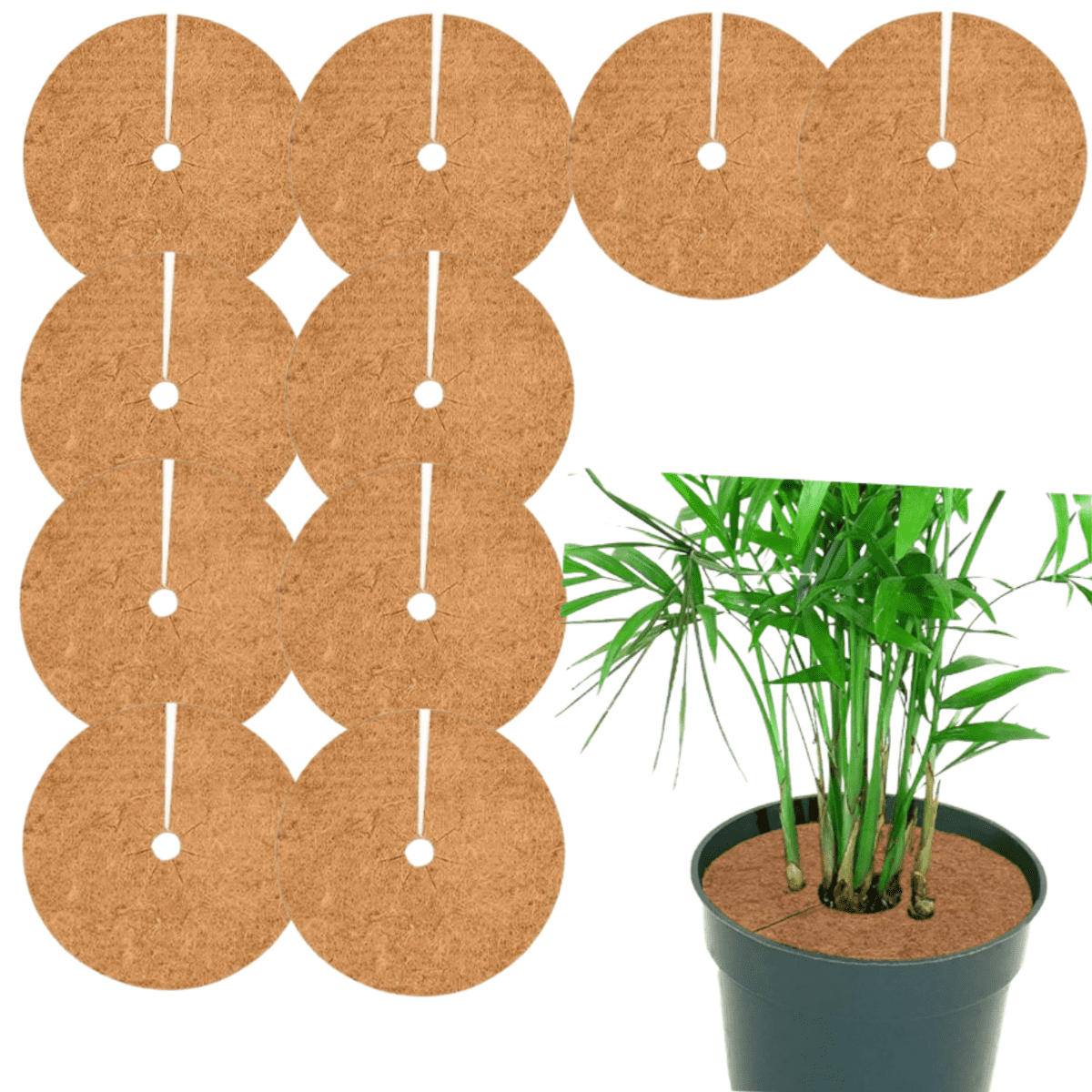 10 Pcs Coconut Fibers Mulch Ring Tree Protector Mat, Trianu Coco Coir ...