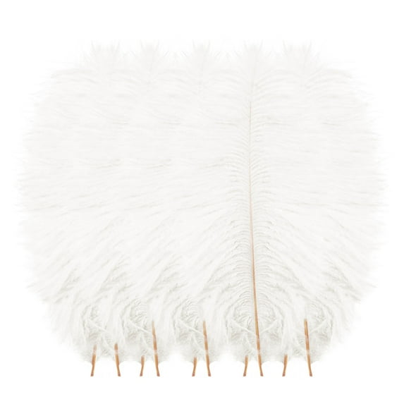 10 Pcs Colourful Plumage for Wedding Party Flower Arrangement Home ...