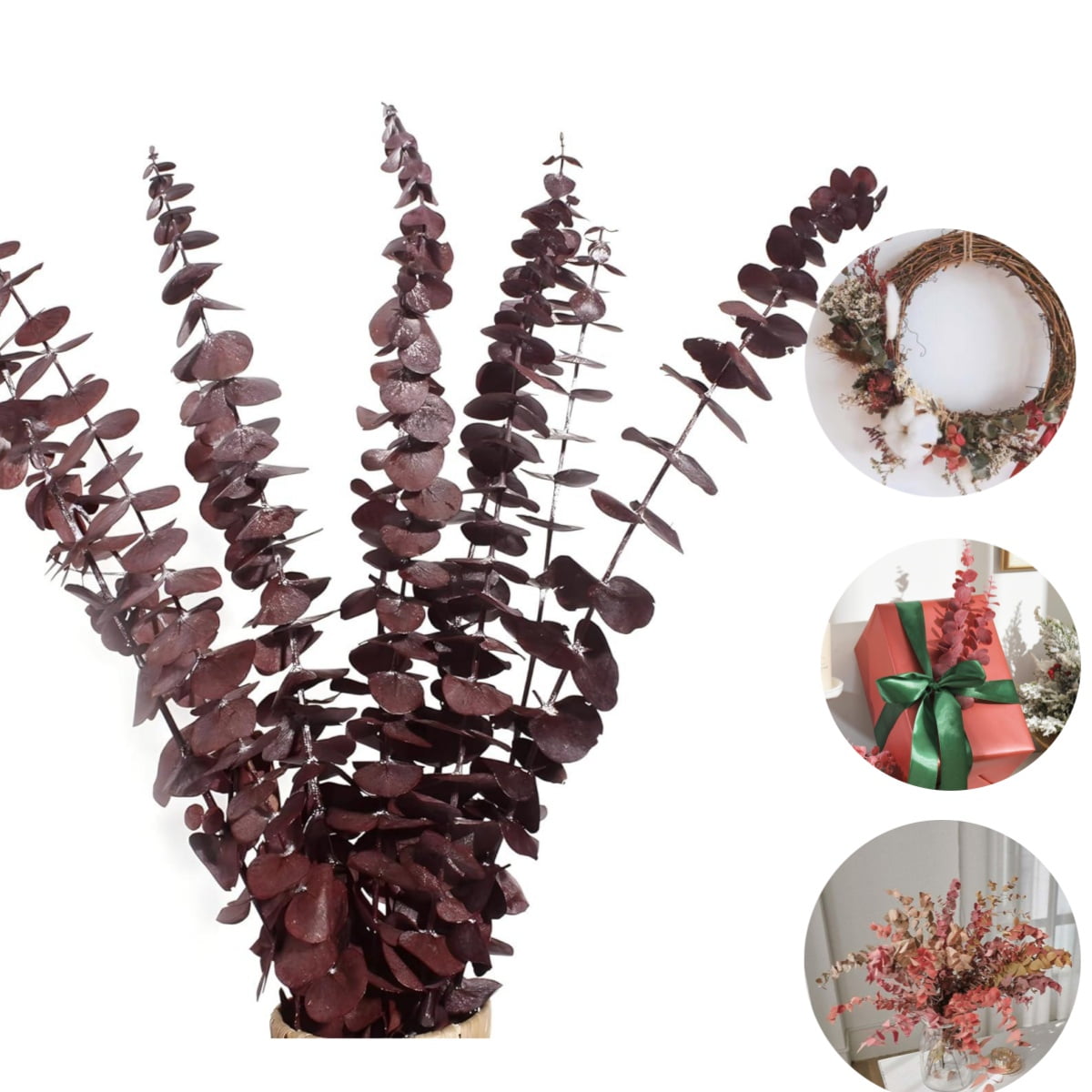 10 Pcs Dried Eucalyptus Stems, Red Eucalyptus for Wedding,17'' Natural ...