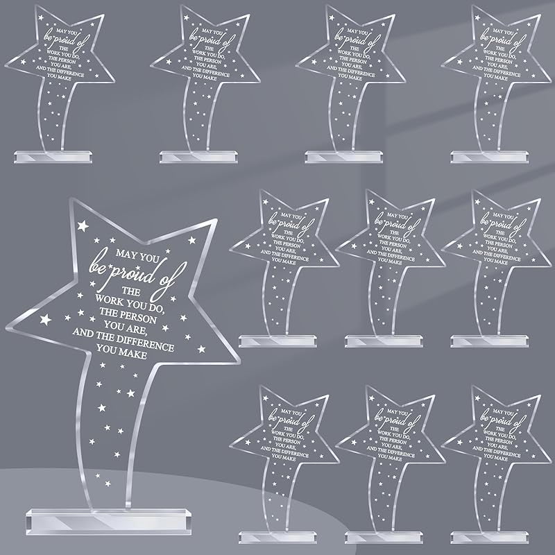 10 Pcs Employee Appreciation Awards for Coworker Acrylic Thank You ...