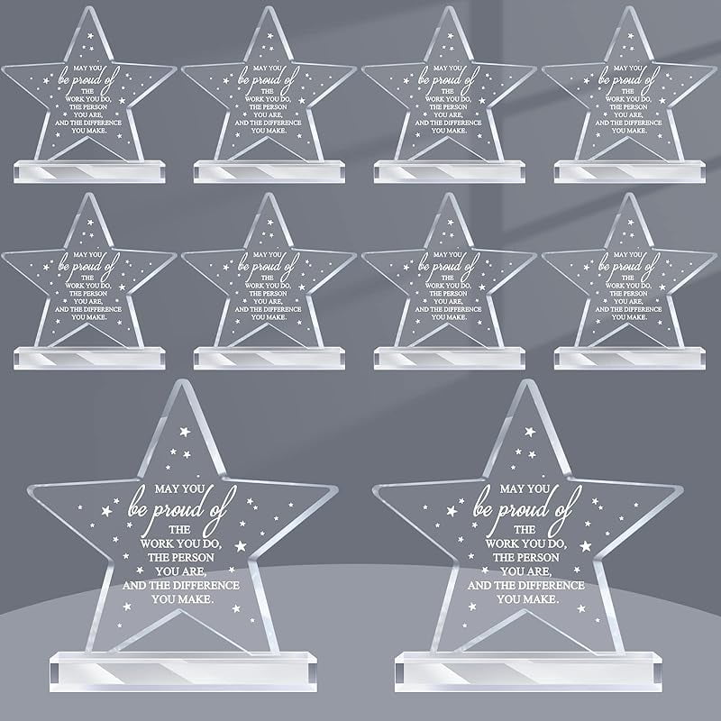 10 Pcs Employee Appreciation Awards for Coworker Acrylic Thank You ...