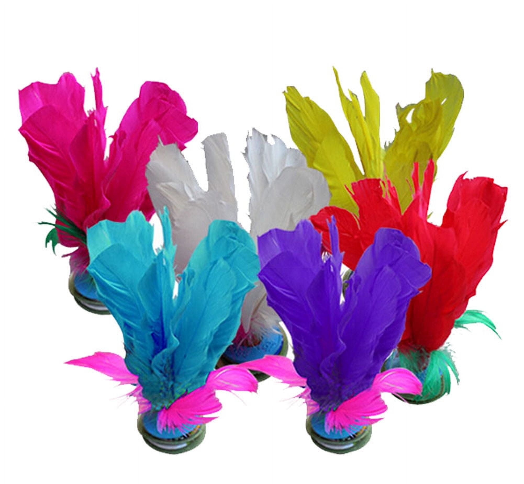 10 Pcs Exercise And Fitness Feather Kick Shuttlecock Chinese Jianzi ...