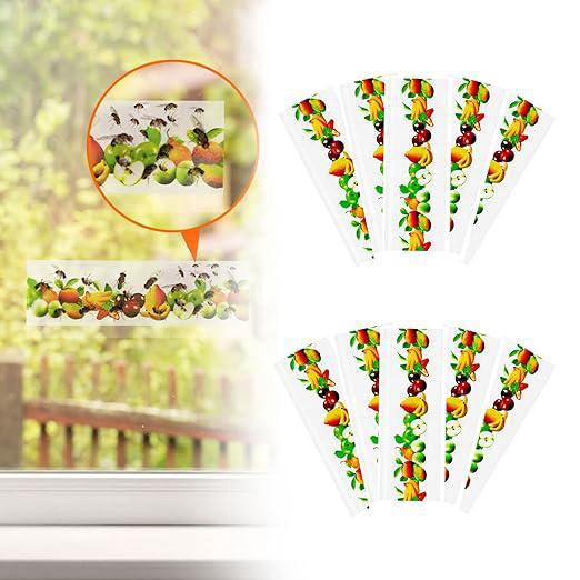 10 Pcs Fly Trap for Window, Flies Trap Window Sticker, Indoor Fly Trap ...