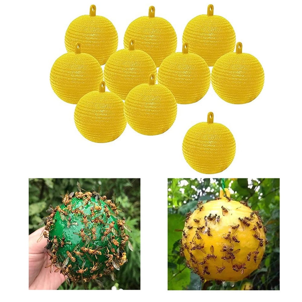 10 Pcs Fruit Fly Sticky Traps,Sticky Ball For Indoor Outdoor Use ...