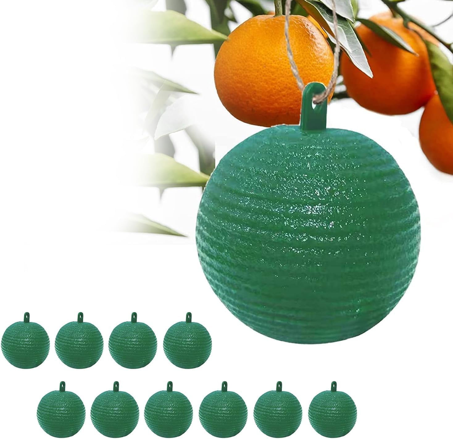 10 Pcs Fruit Fly Traps Ball Sticky Traps Ball, Gnat Traps Flying ...
