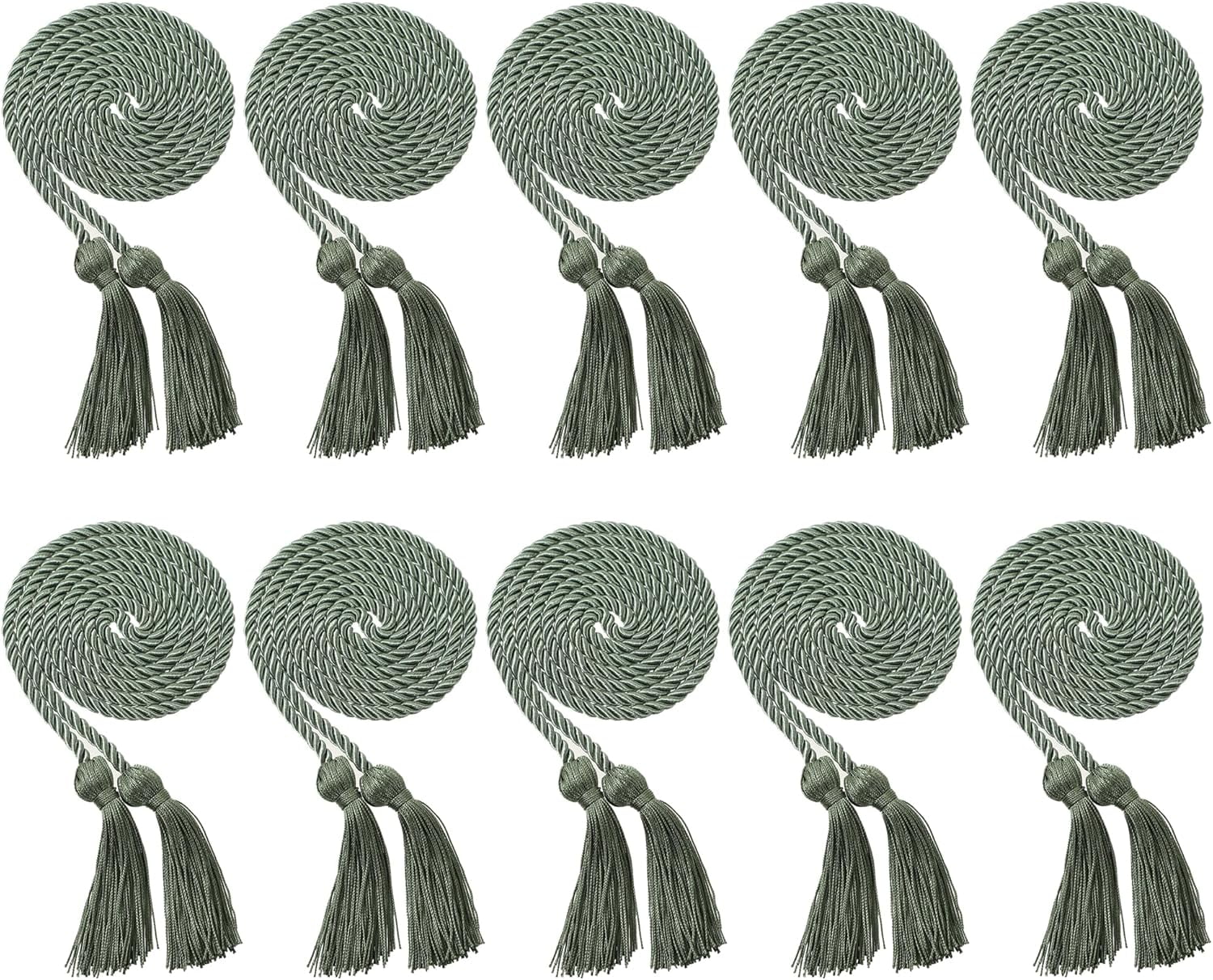 10 Pcs Graduation Honor Cords with Tassels, Bulk Academic Braided Ropes ...