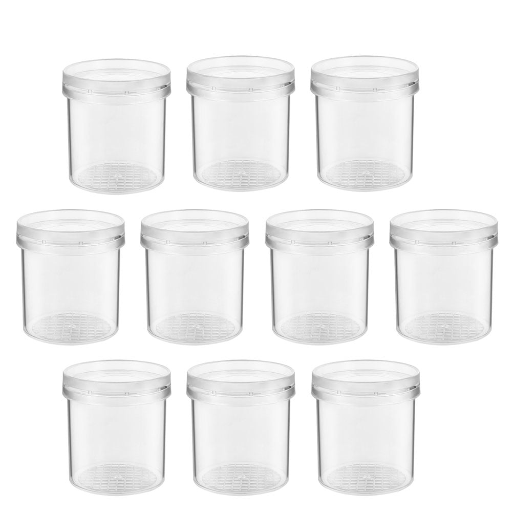10 Pcs Household Insect Container Bug Cage Plastic for Kids Collector ...