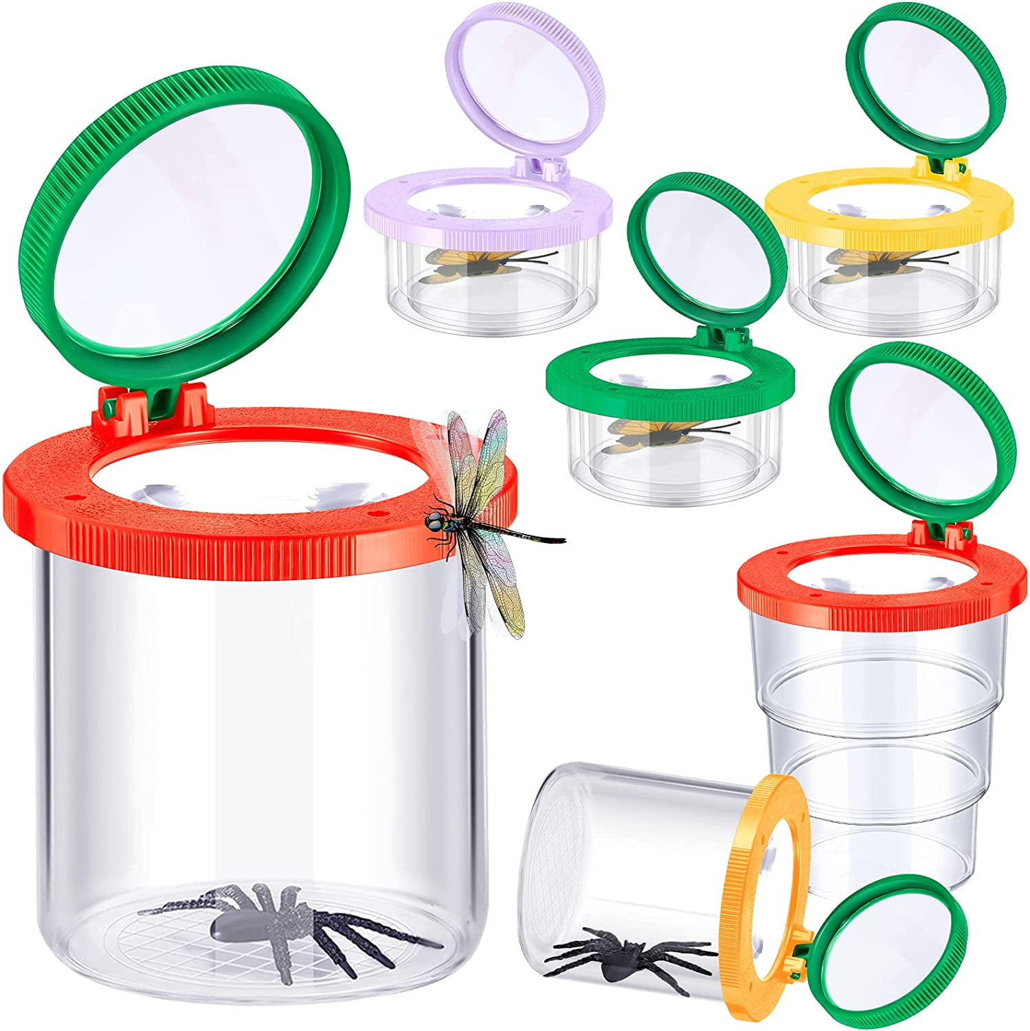 10 Pcs Insect Bug Viewer Magnifying Insect Box Stretchable Bug ...
