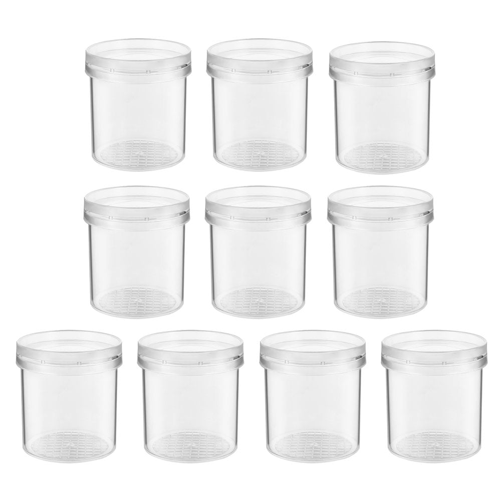 COOPHYA Insect Observation Box Professional Design 20Pack - Walmart.com