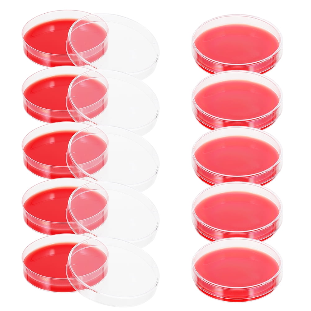 10 Pcs Petri Dishes Pedri Lab 90x15 Agar Plates Laboratory with Lids ...