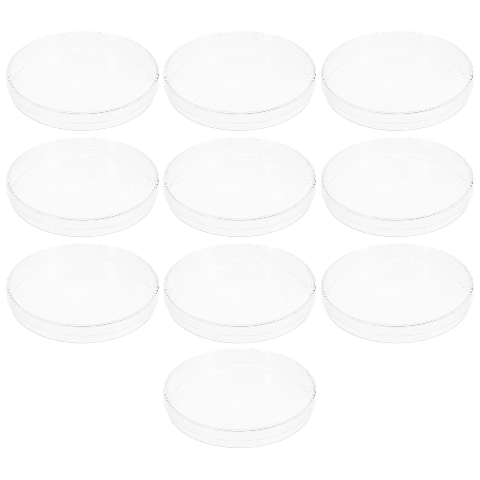 10 Pcs Square Petri Dish Laboratory Culture Holder Chemistry Plates ...