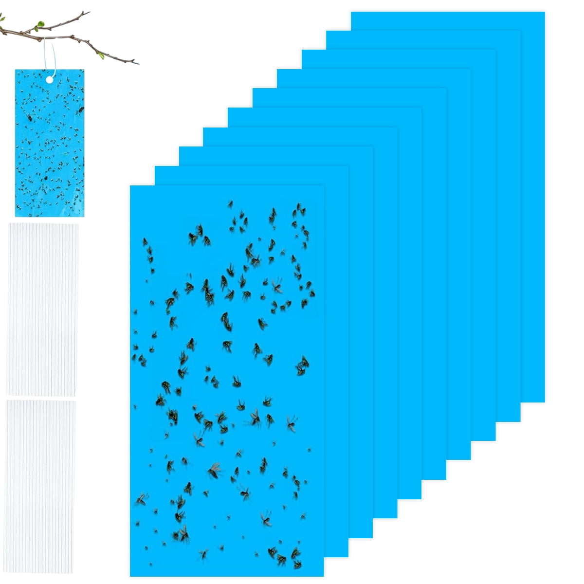 10 Pcs Sticky Traps for Plant Double Sided Sticky Trap for Gnats with ...