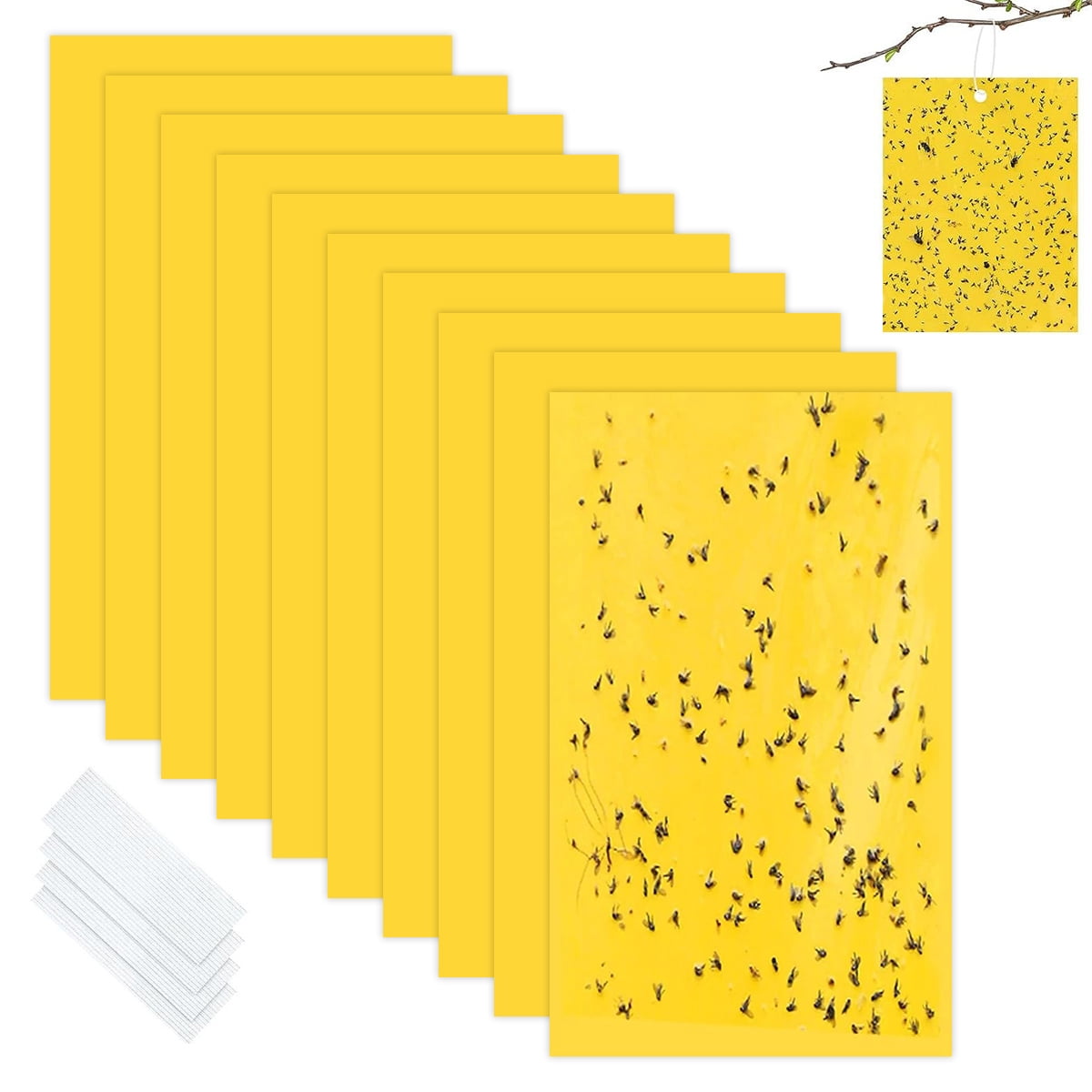 10 Pcs Sticky Traps for Plant Double Sided Sticky Trap for Gnats with ...