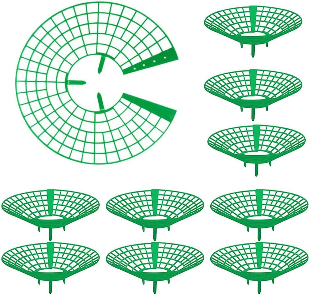 10 Pcs Strawberry Plant Support Stand Strawberry Growing Racks with 3 ...