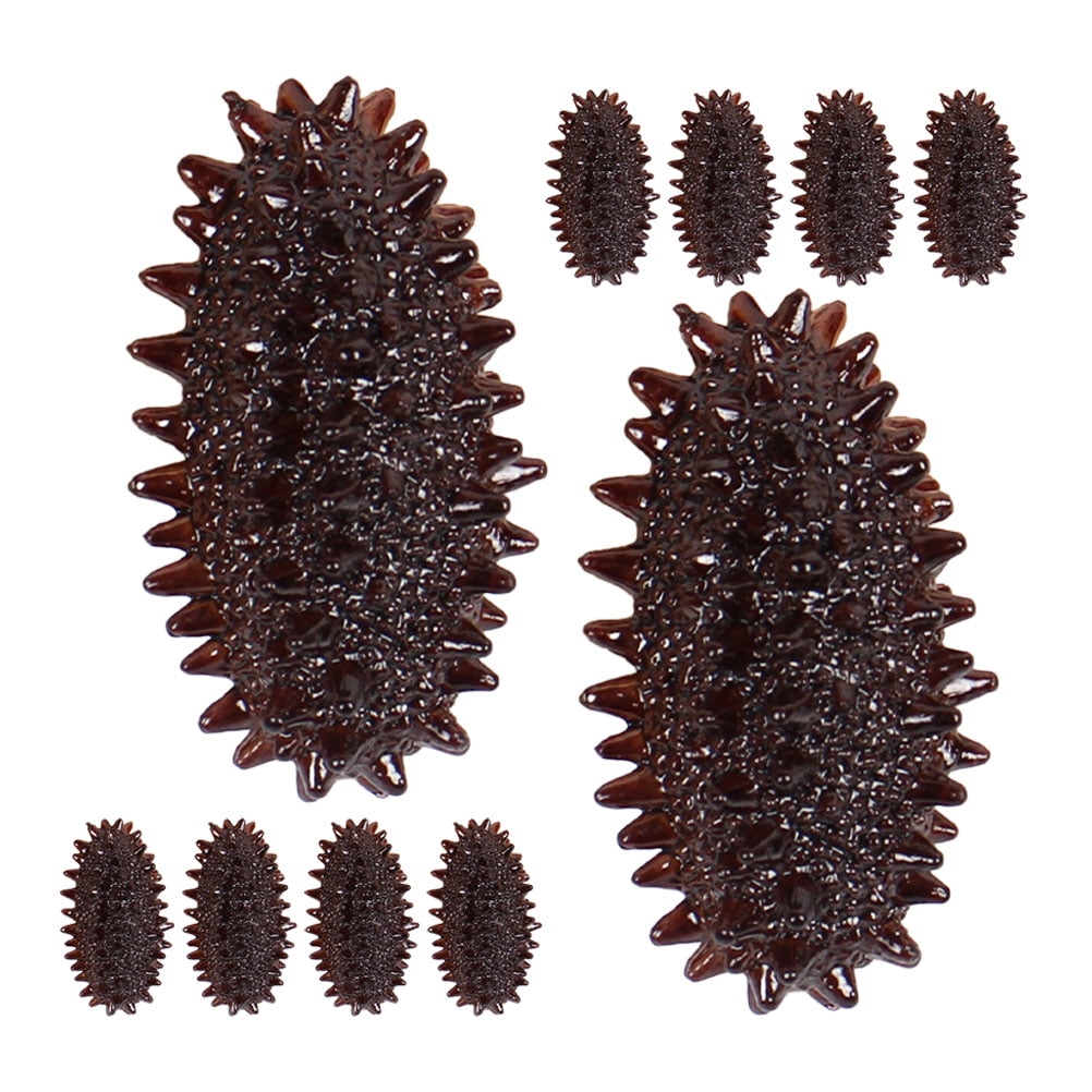 10 Pcs Table Decorations Artificial Sea Cucumber Animal Small Trepang ...