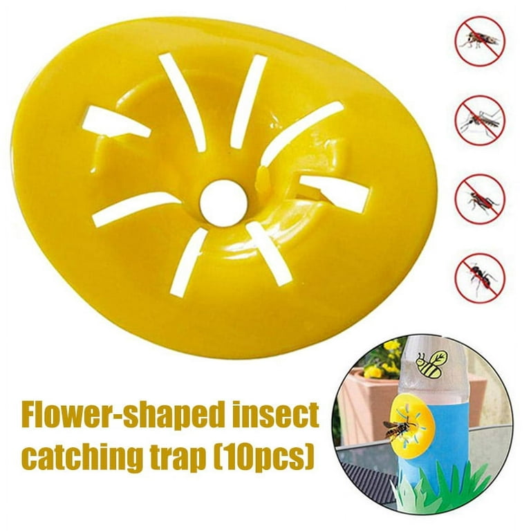 Homemade Flying Insect Trap How To Kill House Flies Two Easy Ways To
