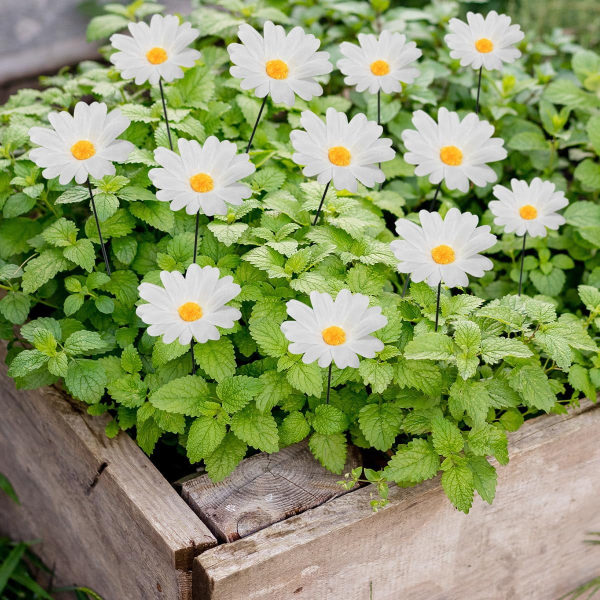 10 Pcs White Daisy Flower Garden Stakes Iron Crafts, Hand Forged Plant ...