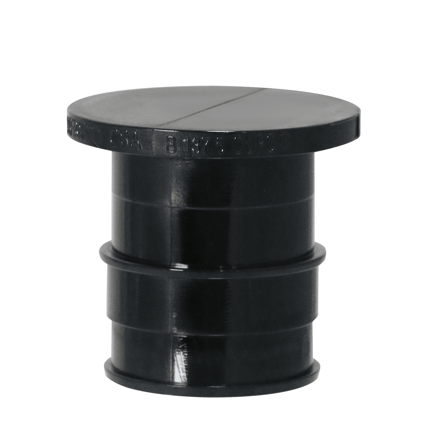 10 Pcs XFITTING Poly Pex A 1 Inch Plug, Pex Expansion End Cap PO ...