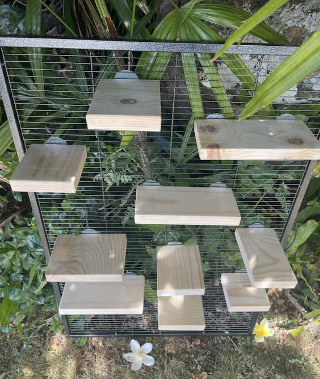 10 Piece Kiln Dried Pine Wooden Ledges Steps Platforms for Chinchillas ...