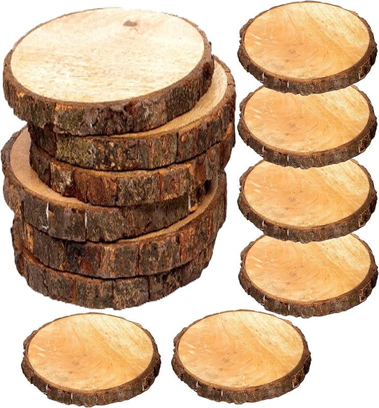 10-Piece Natural Wood Coaster Set – Handcrafted Round Coasters with ...
