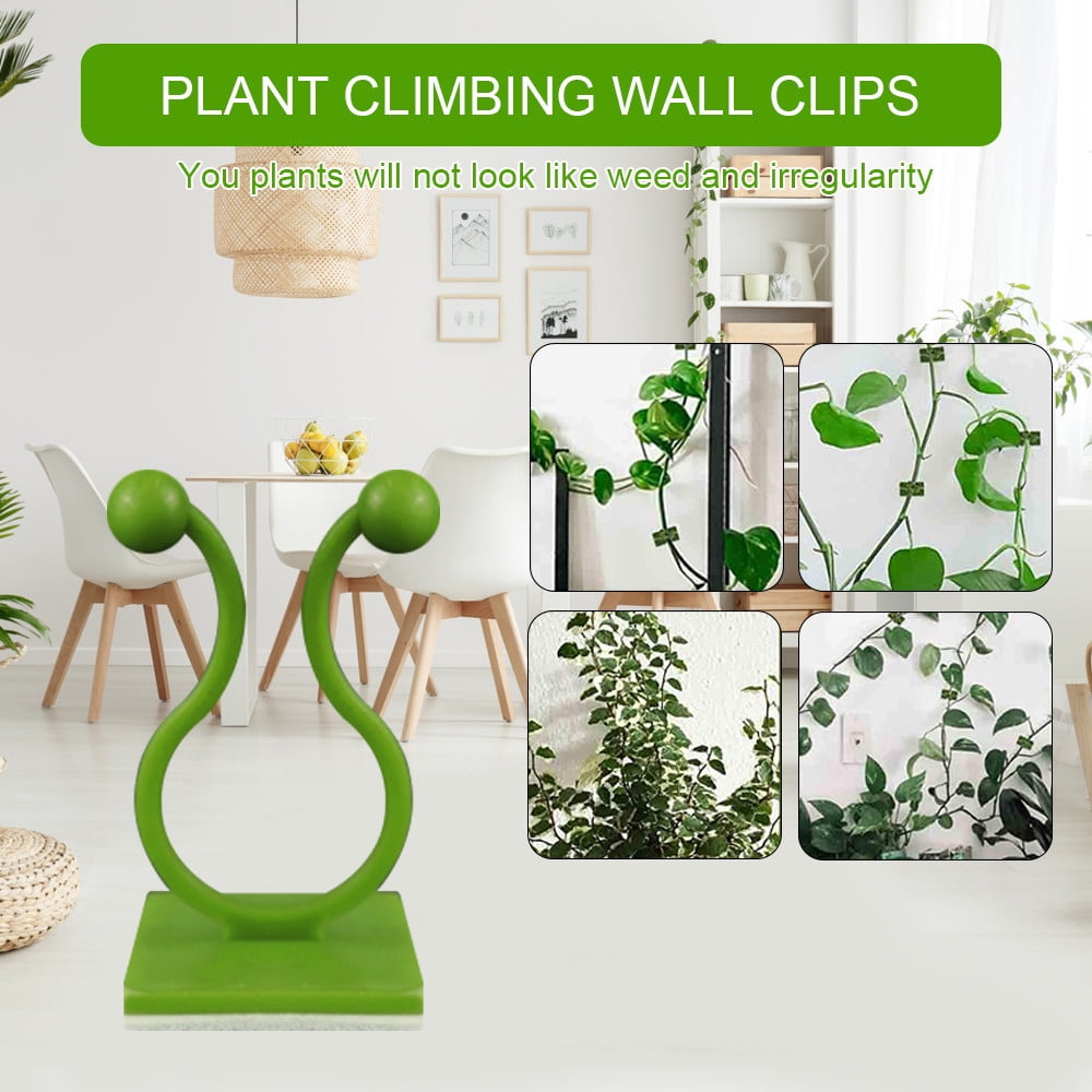 10-Piece Self-Adhesive Plant Clips for Climbing Plants - Durable Clips ...