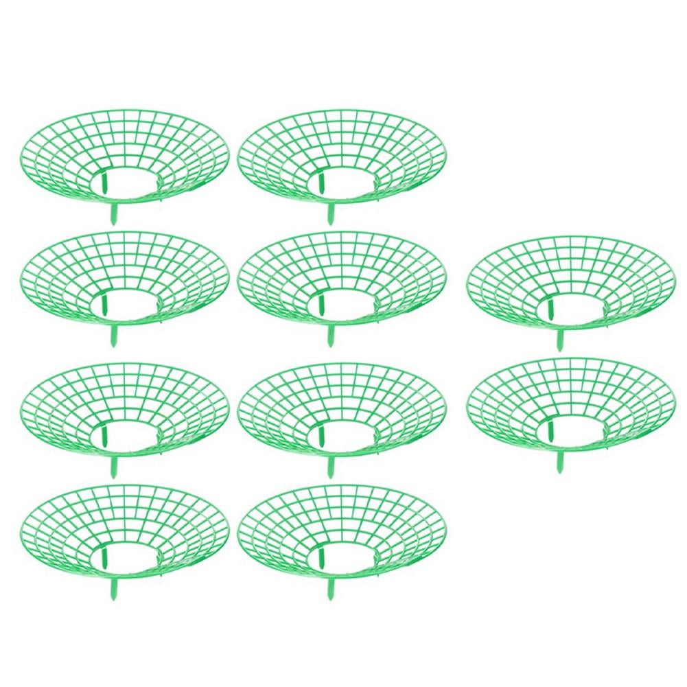 10-Piece Strawberry Stand Strawberry Seedling Planting Stand Sunflower ...