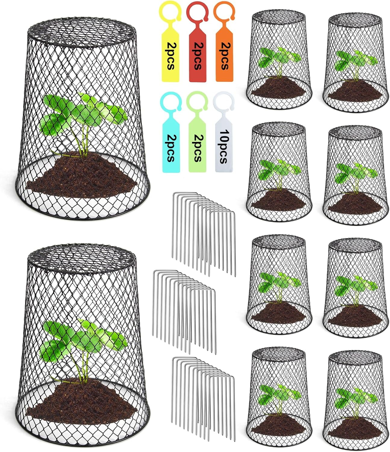10 Pieces 6.8" x 7.4" Seedling Plant Protectors to Keep Out Animals ...