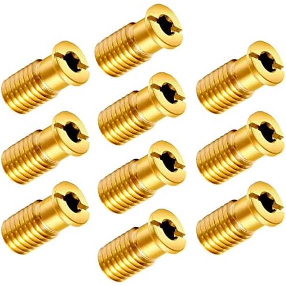 10 Pieces Brass Pool Cover Anchors Screws Pool Safety Cover Anchor ...