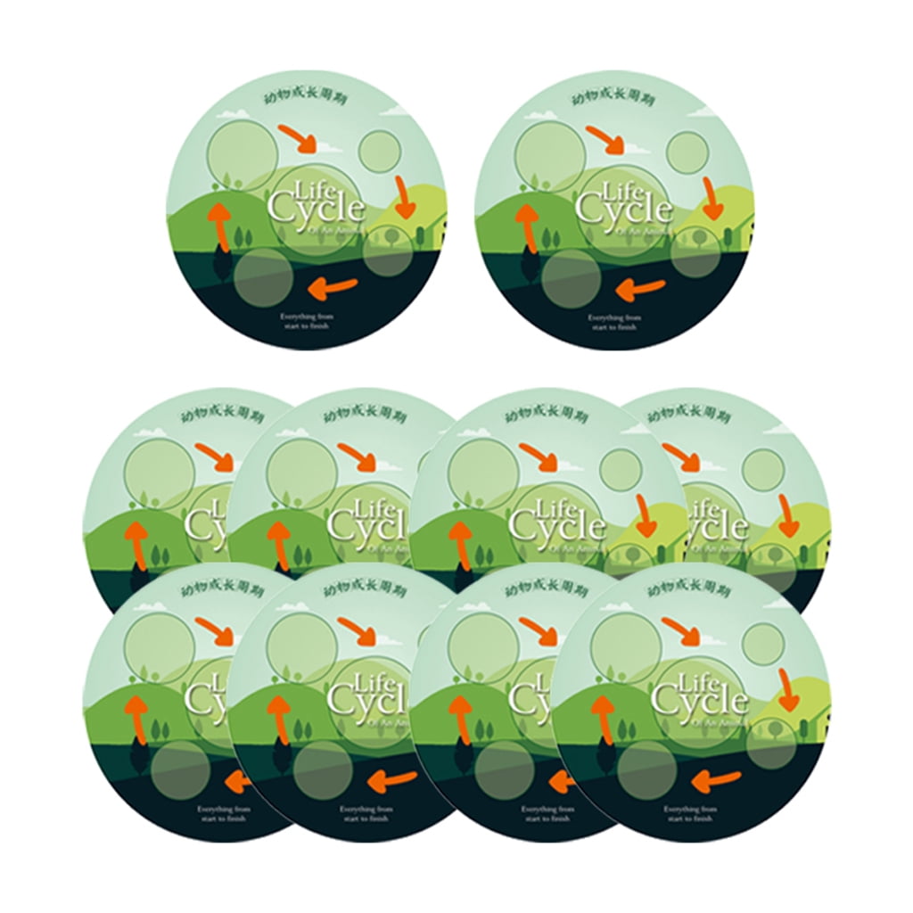 10 Pieces Life Cycle Bulletin Board for Children's Education Science ...