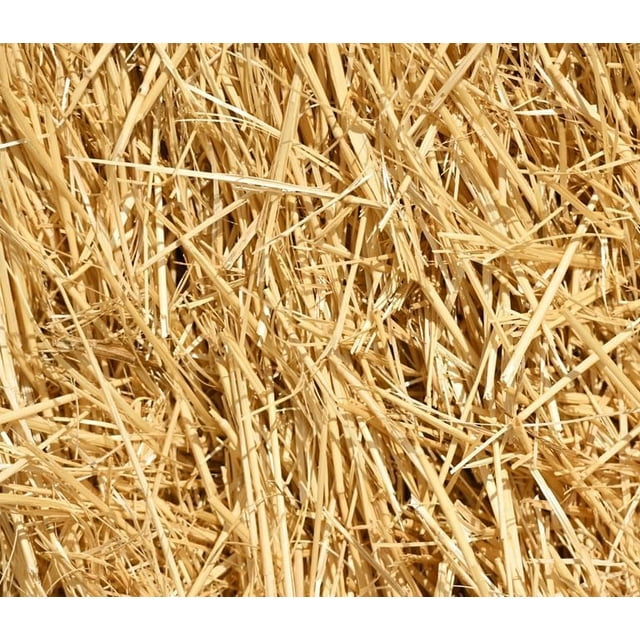 10 Pounds 100% Natural Wheat Straw for Animal Bedding, Garden Mulch ...