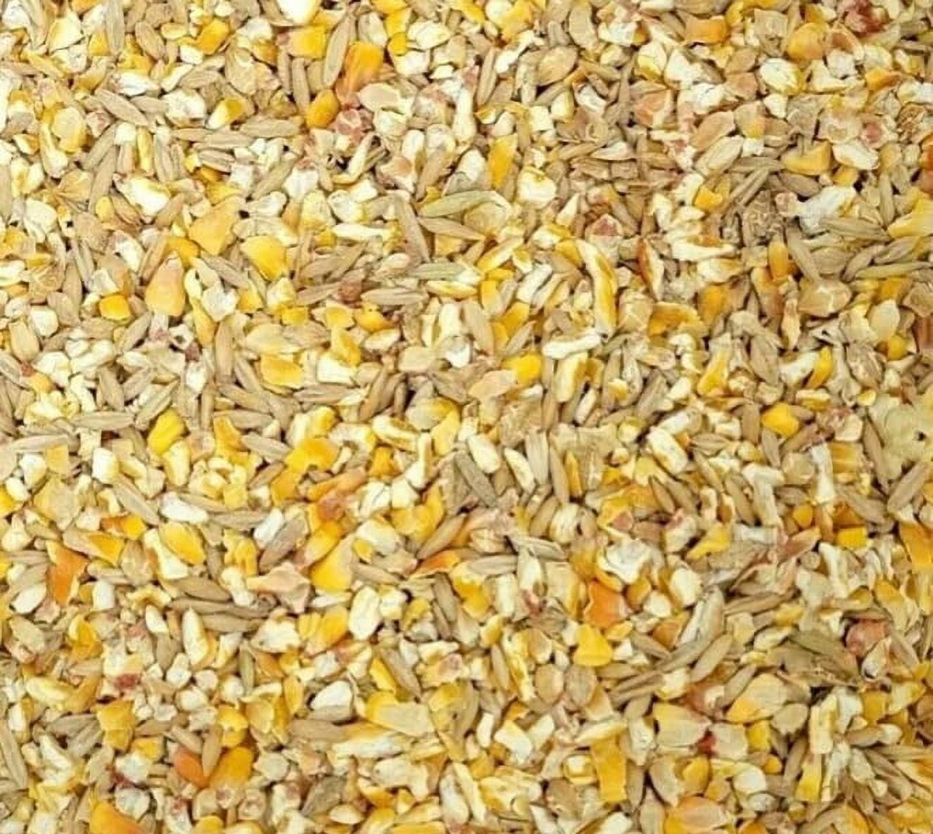 10 Pounds CZ Grain Premium Scratch Grains Bird Feed - Walmart.com