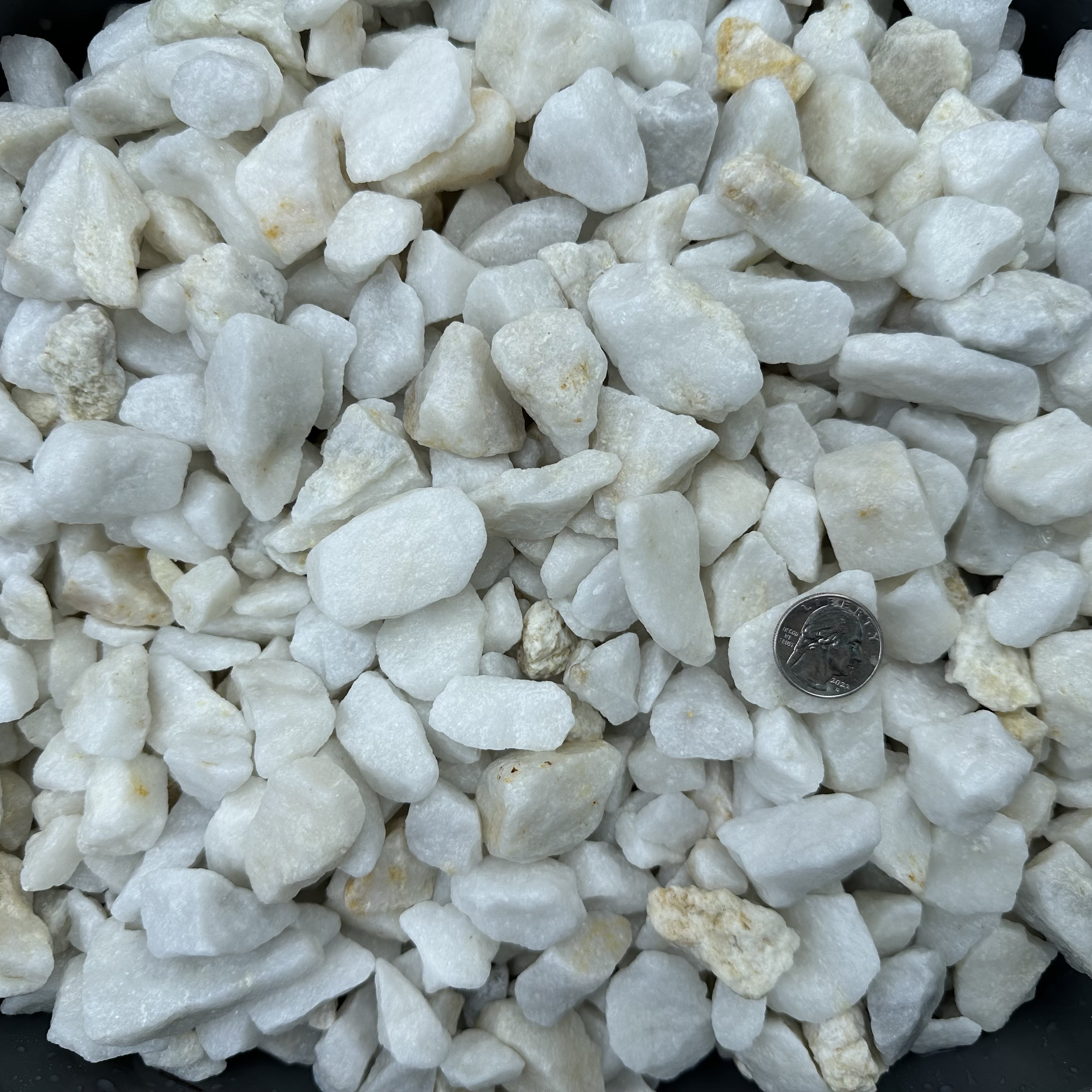 10 Pounds of Dolomite White Rocks, Size 0.5" to 1.5", Gravel Pebbles ...