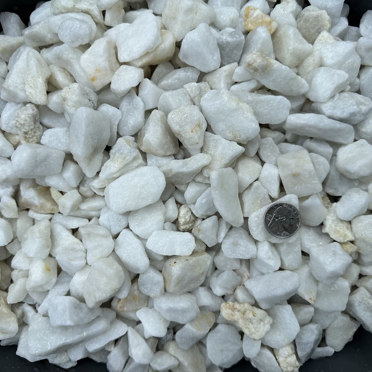 Different Types Of White Limestone Rocks What Are The Types Of Stone