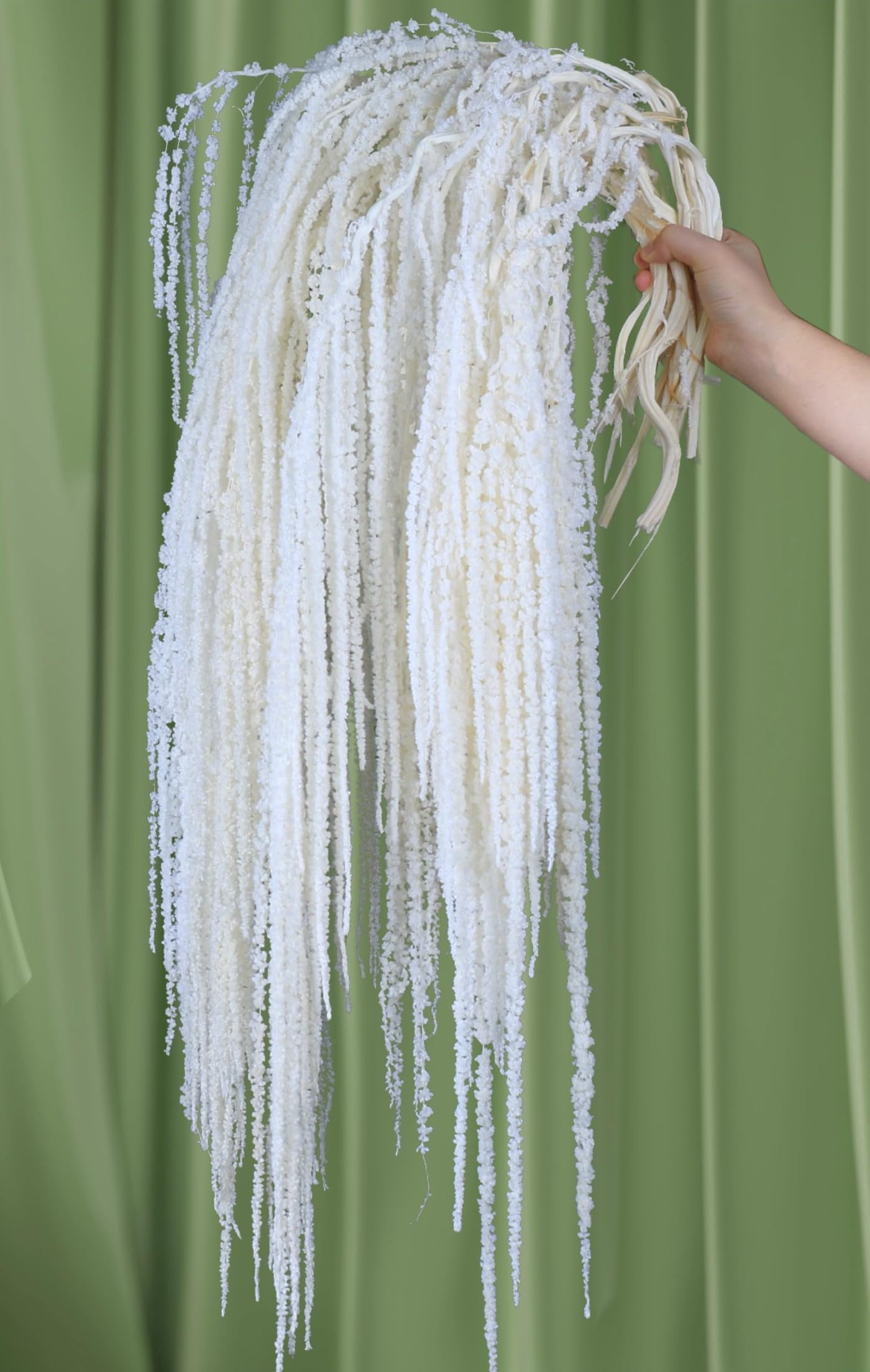 10 Preserved Amaranth Hanging Flowers Bleached White Wedding Home Decor ...