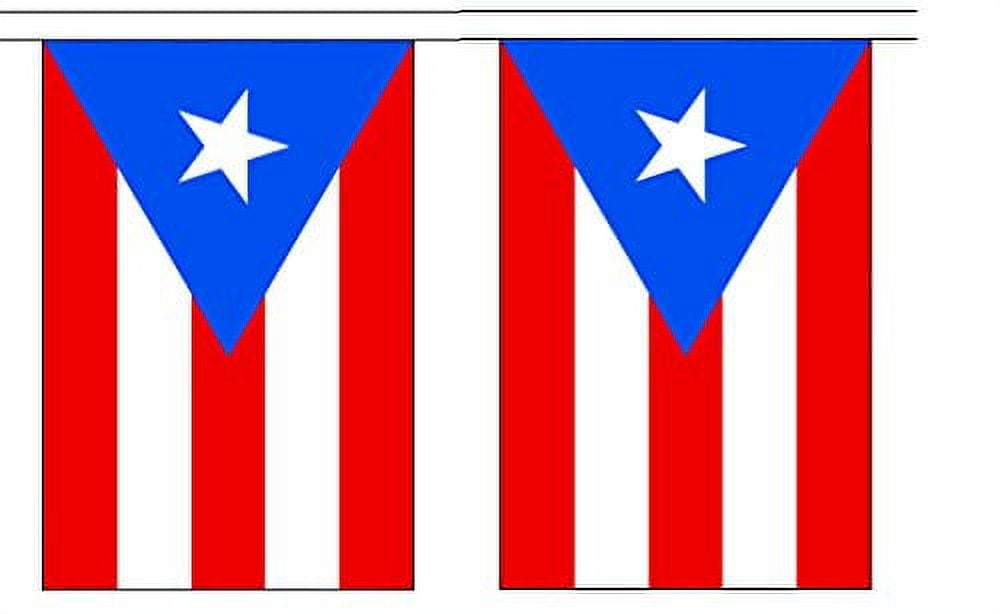 10' Puerto Rico String Flag Party Bunting Has 10 Puerto Rican 6"x9 ...