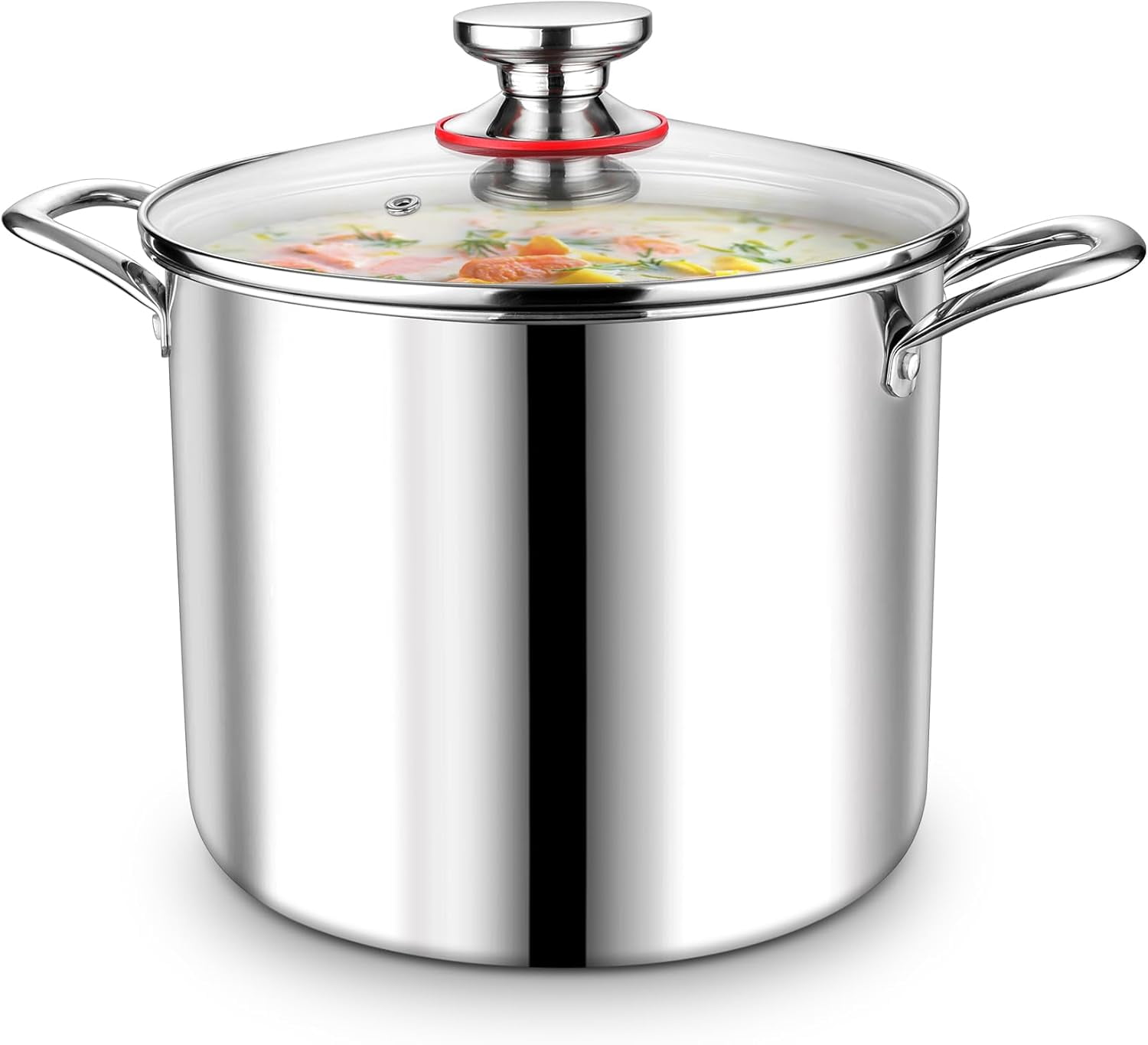 10 Quart Tri-Ply Stainless Steel Stockpot, Stock Pot with Visible Lid ...