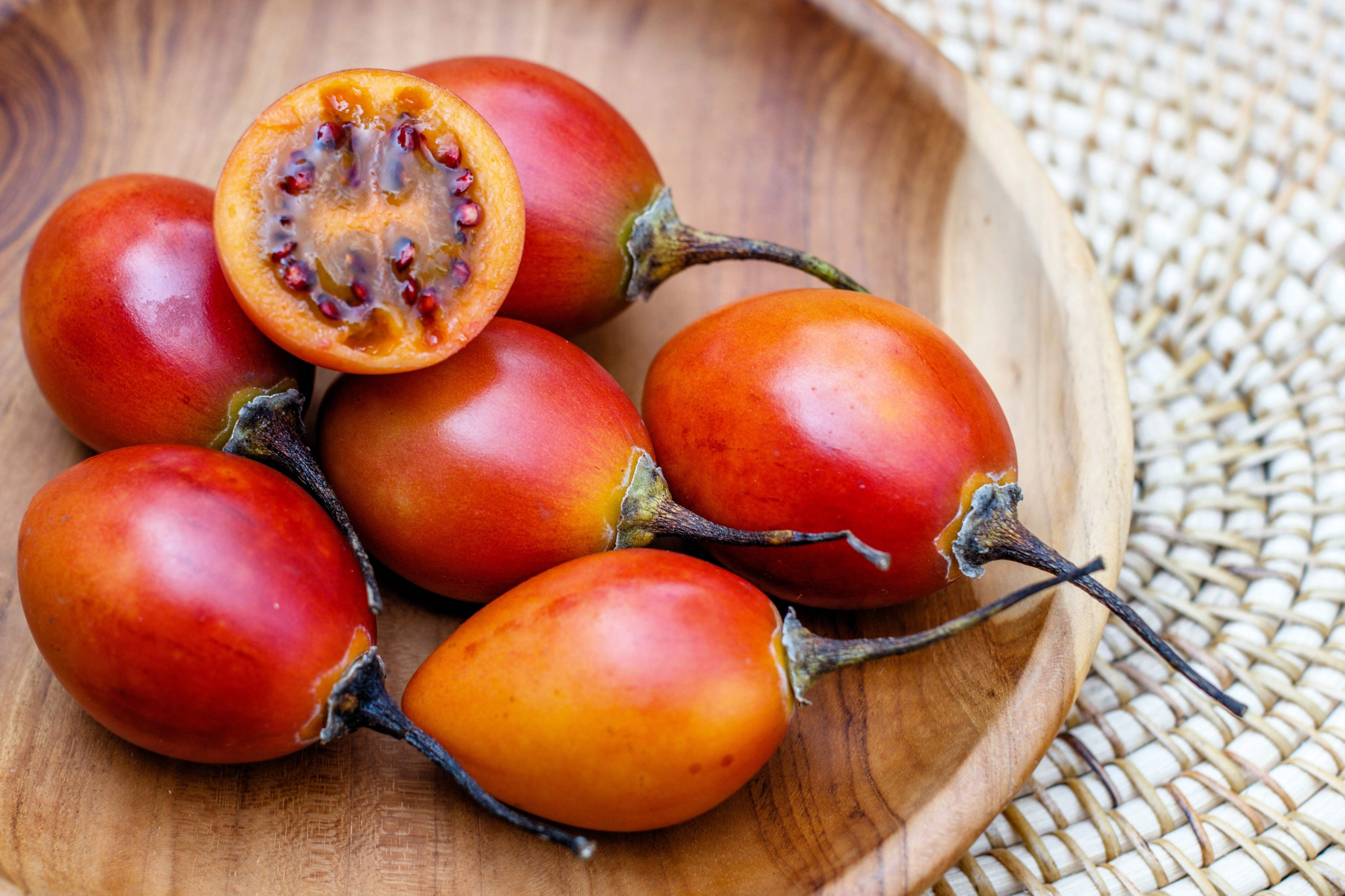 Seedville USA, Fruit Tree Seeds, Tamarillo, 10 Seeds - Walmart.com