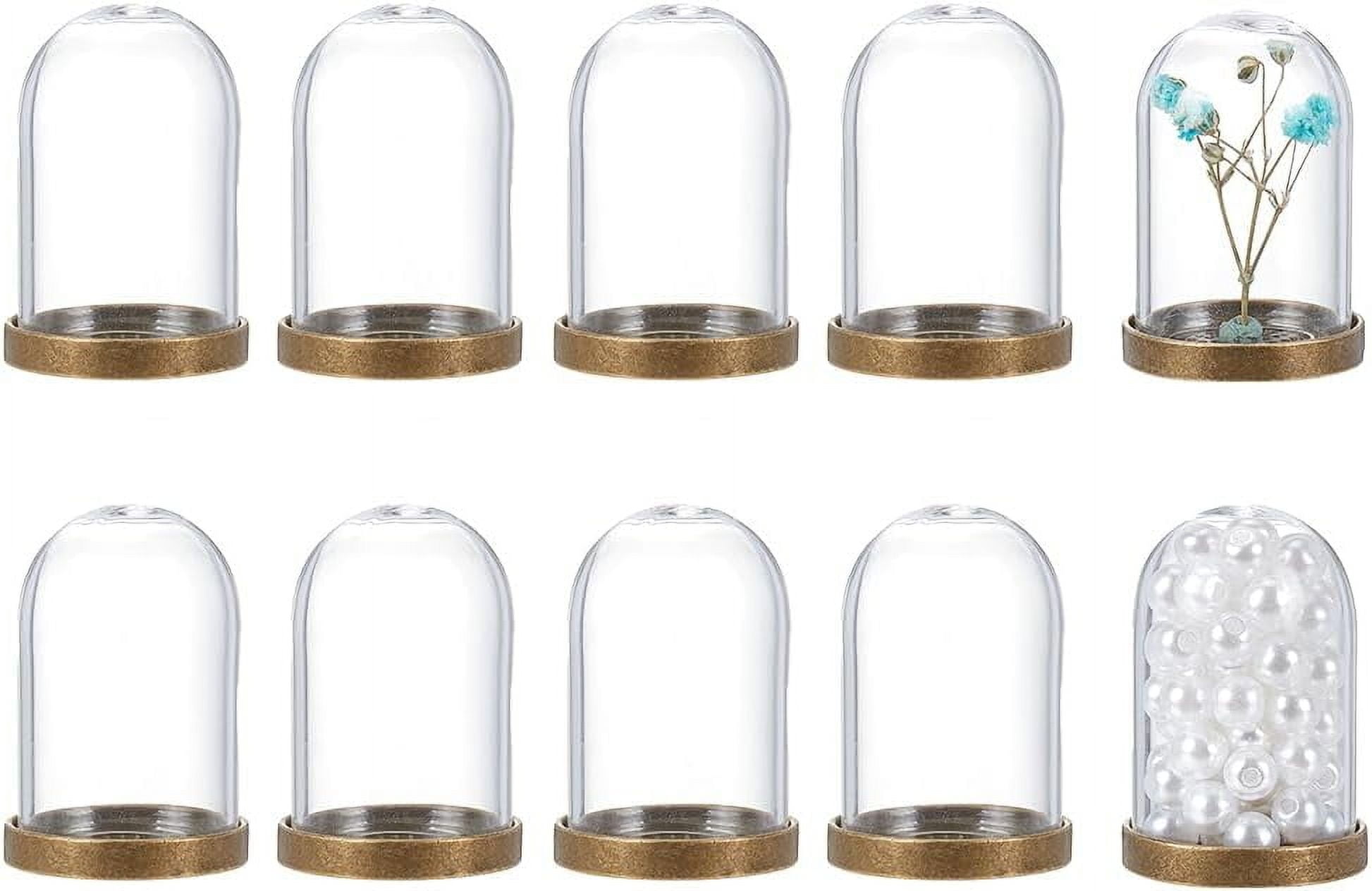 10 Sets Glass Display Cloche Dome Decorative Display Case Cloche Bell ...