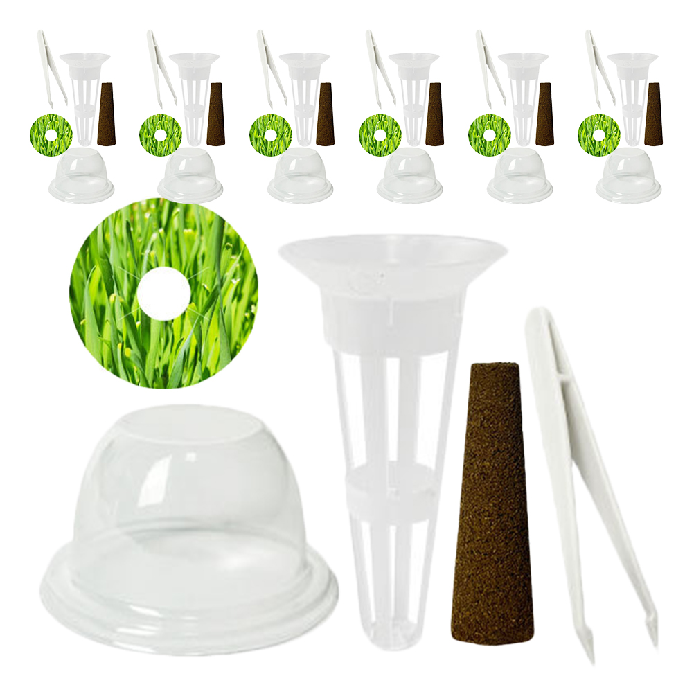 10 Sets Hydroponic Growing Kit Pot for Hydroponic Garden Hydroponic ...