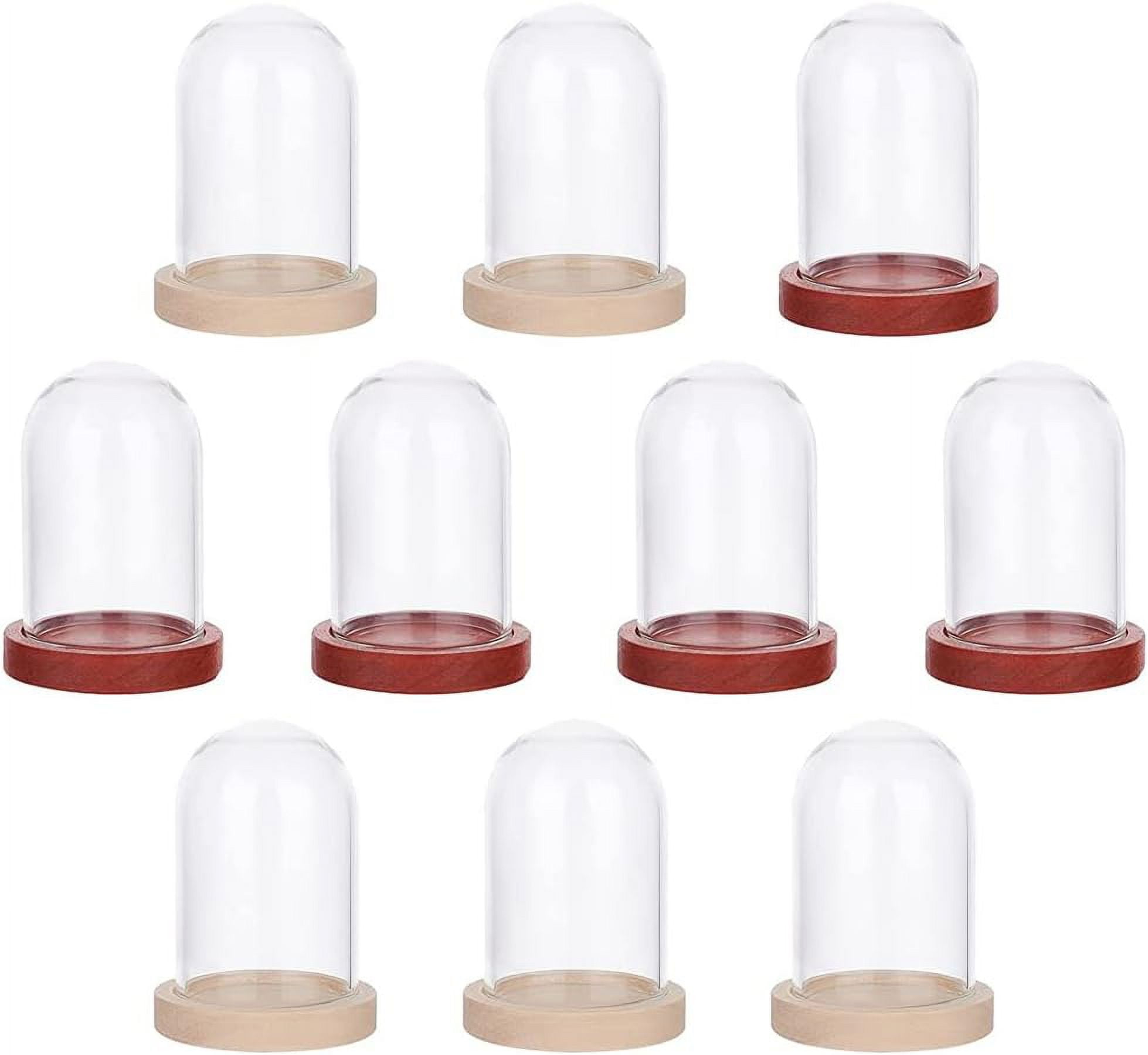 10 Sets Mini Eternal Flower Glass Dome Cloche Clear Glass Display Case ...