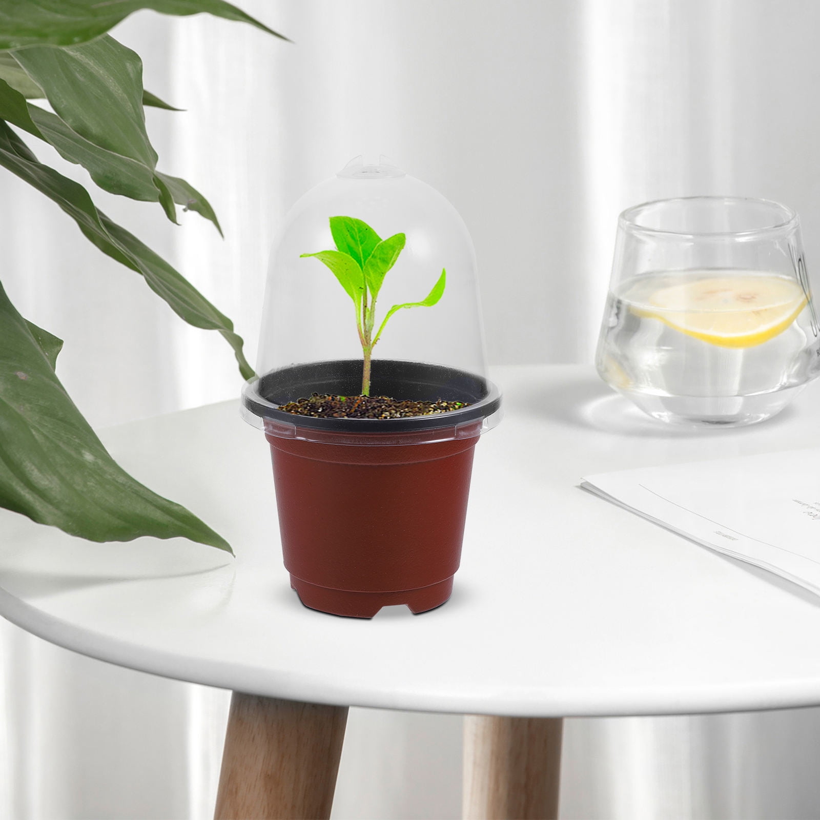 10 Sets of Plant Nursery Pot with Humidity Dome Outdoor Plastic ...