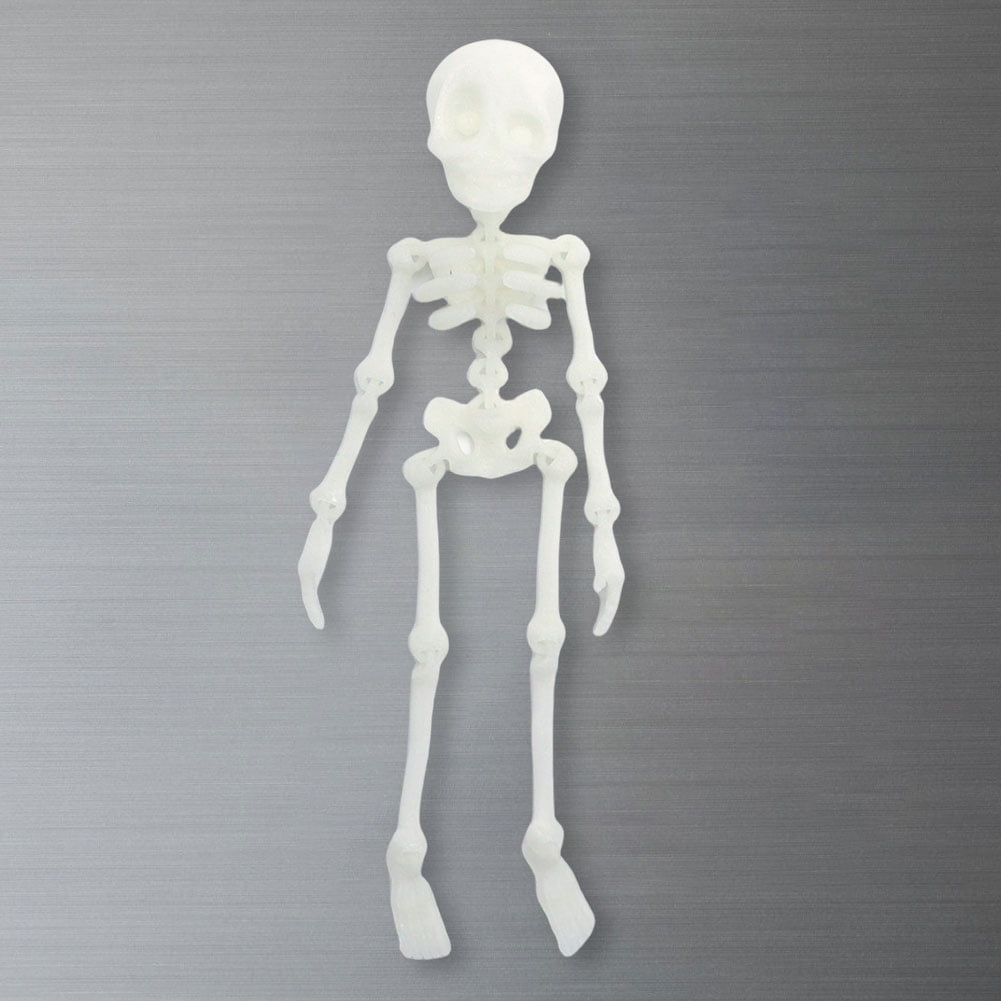 Under $10 Skeleton Fridge Magnet 3D Printed Skeleton Human Joints ...