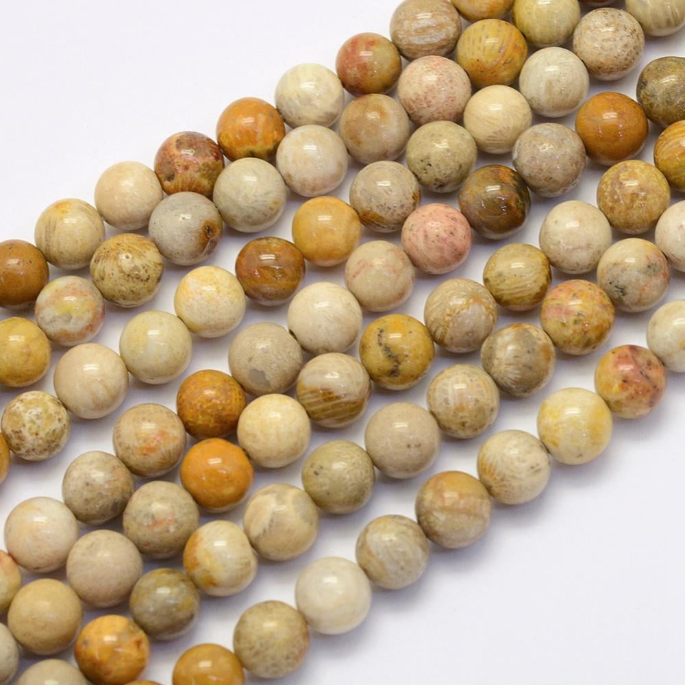 10 Strand Natural Fossil Coral Beads Strands Round 6mm Hole: 1mm about ...