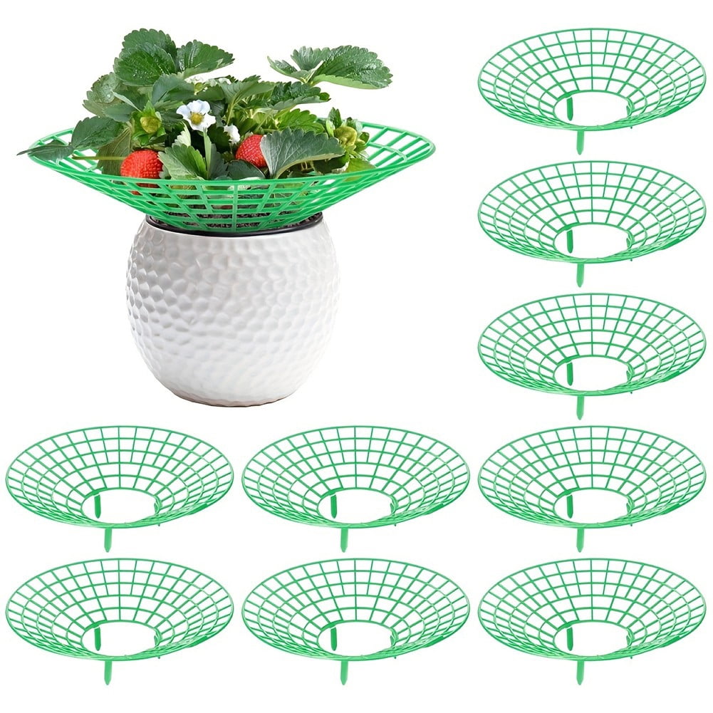 10 Strawberry Support Stand Strawberry Rack Strawberry Ripener Tomato ...