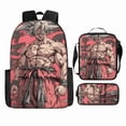 10 Styles Anime Fighter Character Print 17 Inch 3-Piece Backpack Set ...