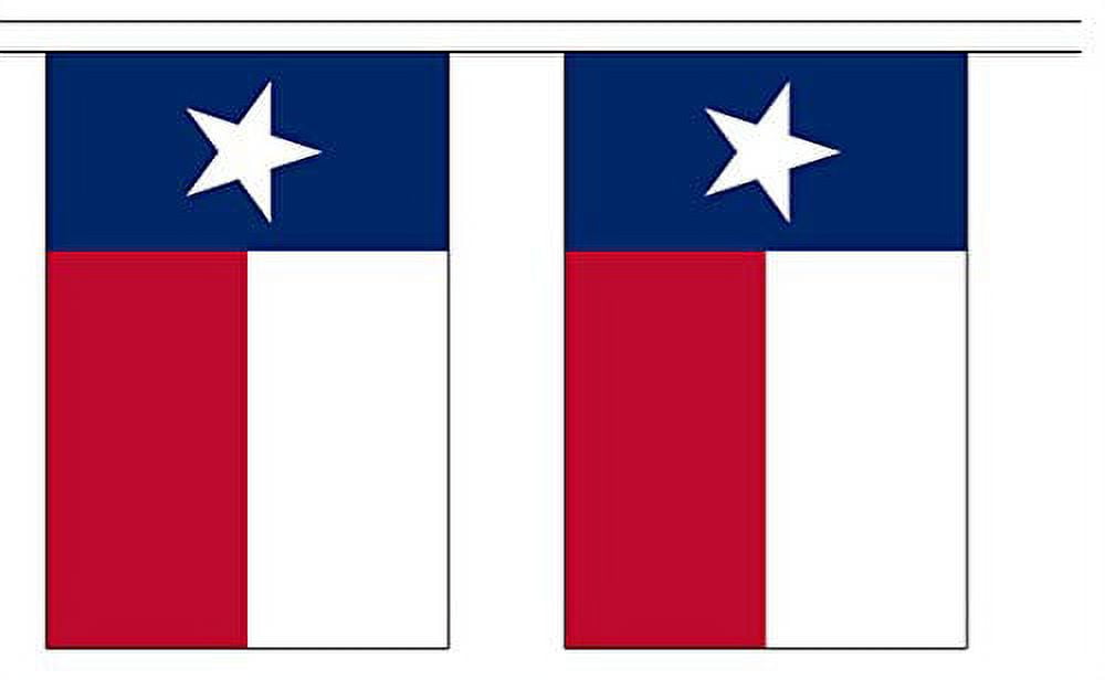 10' Texas String Flag Party Bunting Has 10 Texan 6"x9" Polyester Banner ...