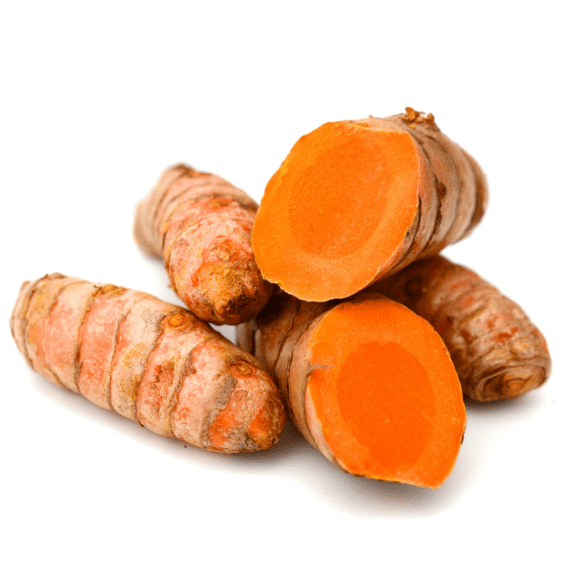 10 Tumeric Roots Fresh Turmeric Roots, Curcuma Longa Herb Tubers Live ...